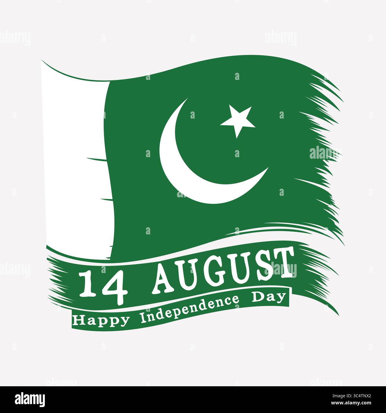 "Pakistani Independence Day Celebration Stock Vector Image & Art - Alamy