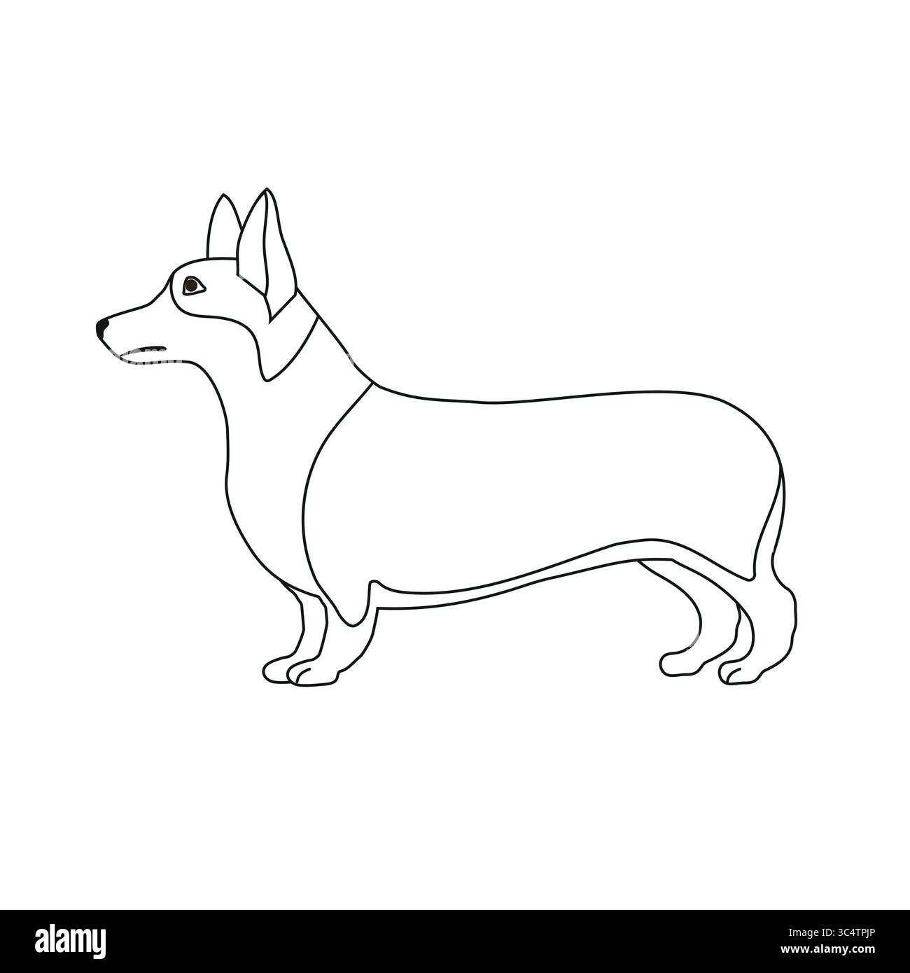 Vector flat hand drawn outline corgi dog Stock Vector Image & Art - Alamy