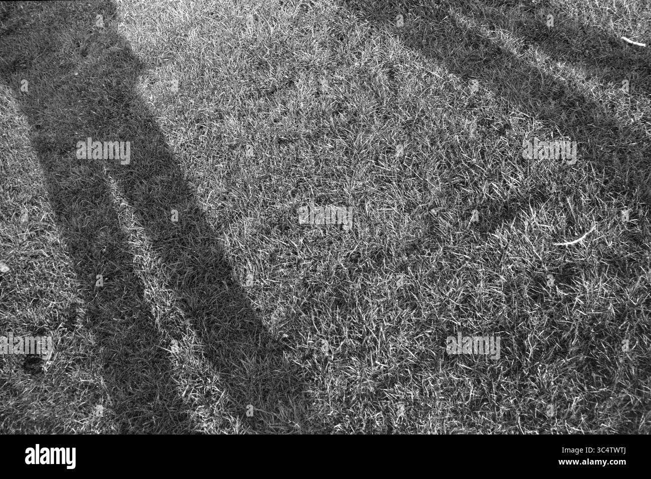 1950 2000 long shadows hi-res stock photography and images - Alamy