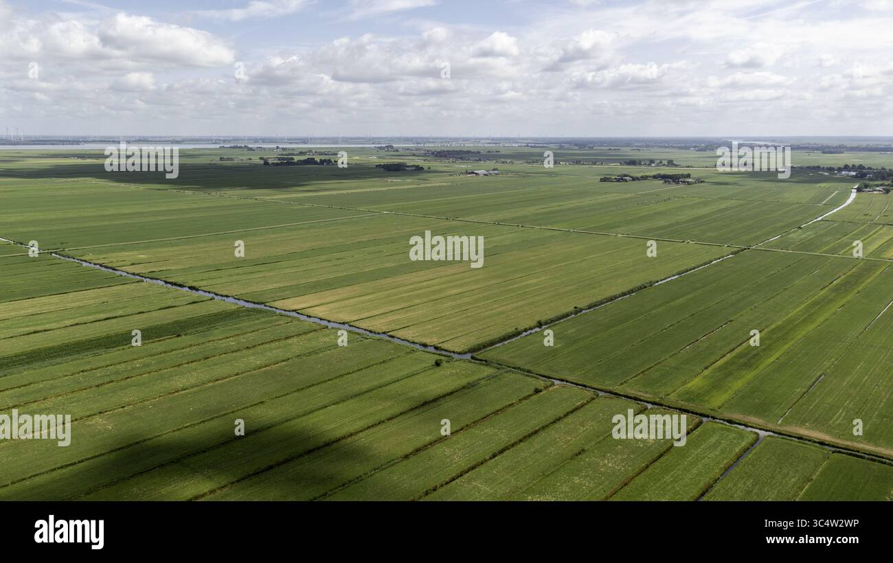 Vast green fields dotted hi-res stock photography and images - Alamy