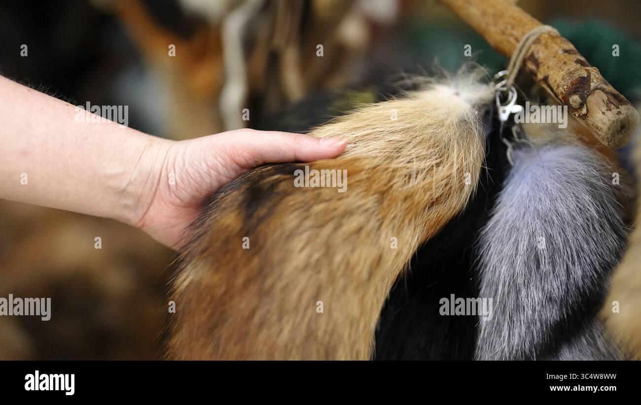 Woman touching animal fur at traditional outdoor market Stock Photo - Alamy