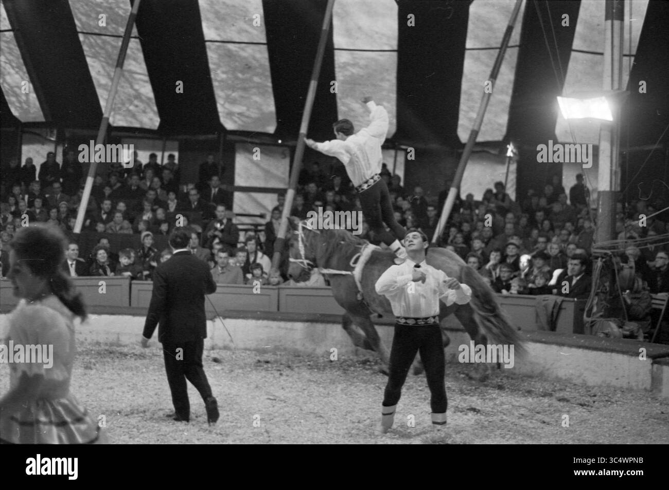 Second performer captivates hi-res stock photography and images - Alamy