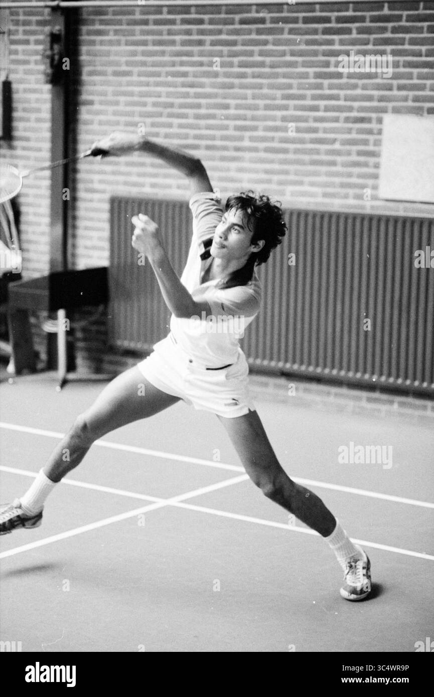 Dynamic badminton player executes hi-res stock photography and images ...