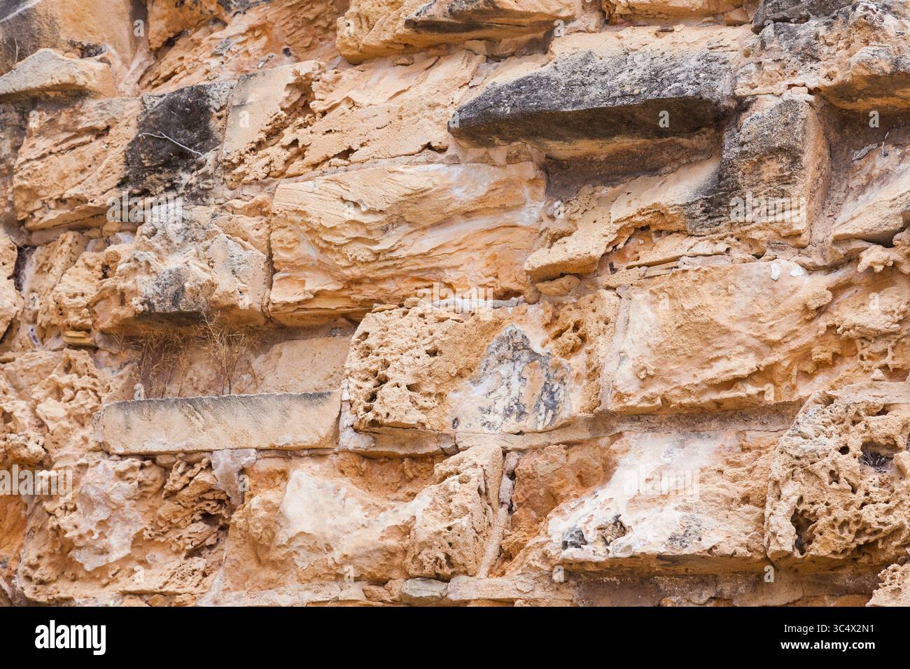 Old weathered shell stone hi-res stock photography and images - Alamy