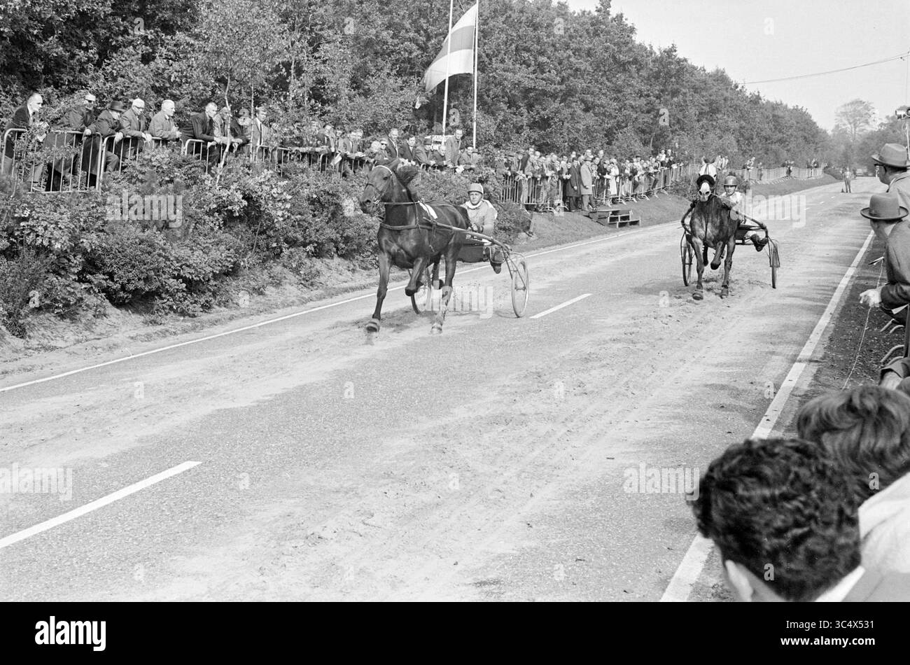1950 2000 horse drawn carts race hi-res stock photography and images ...
