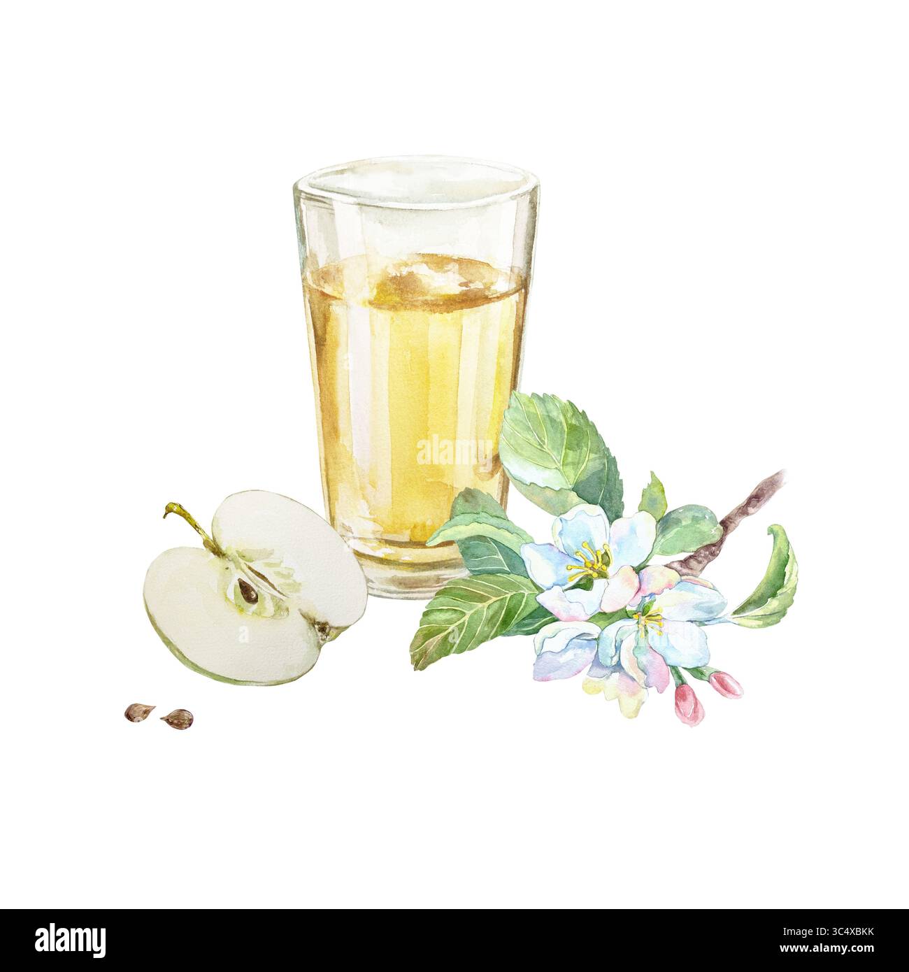 Apple juice in glass goblet with half ripe fruit and beautiful white ...