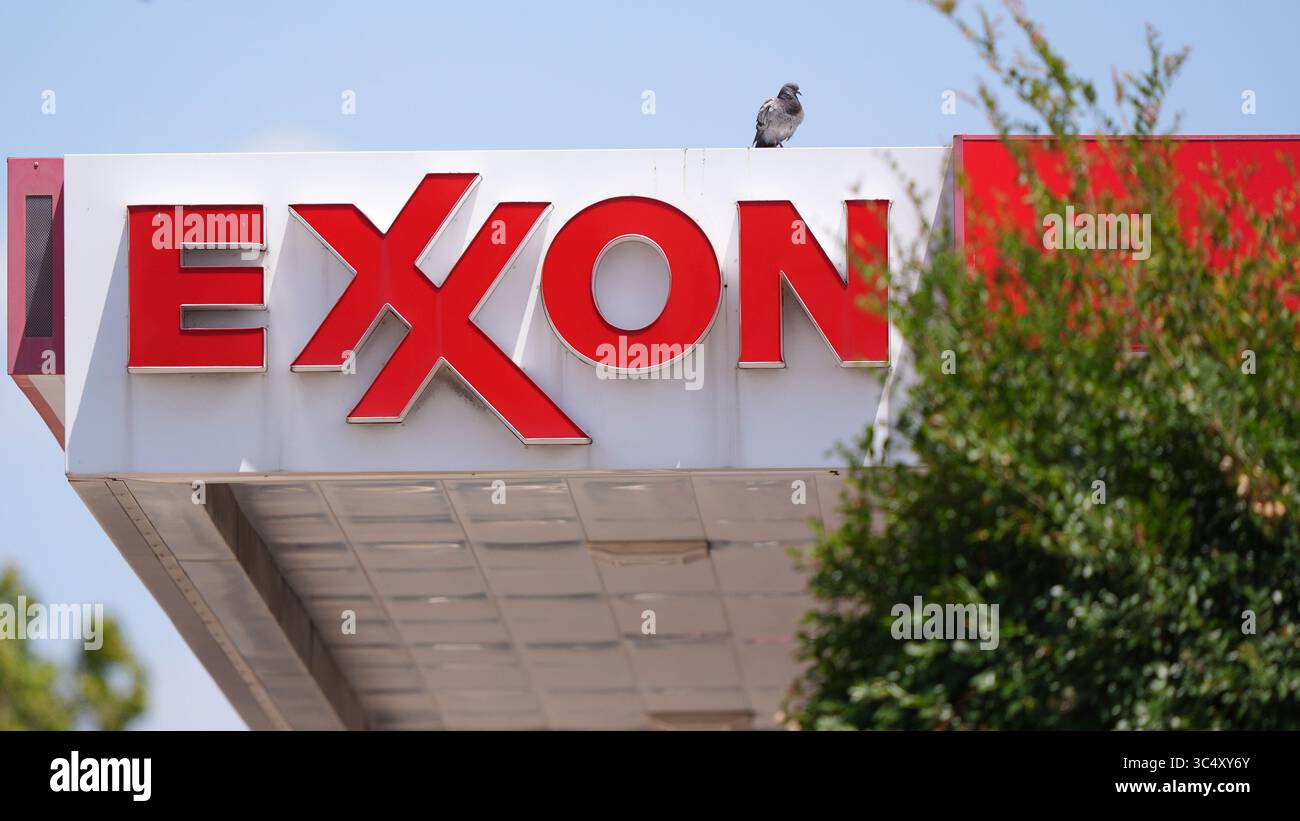 An bird sits on an Exxon sign in Dallas, Tuesday, July 29, 2025. (AP ...