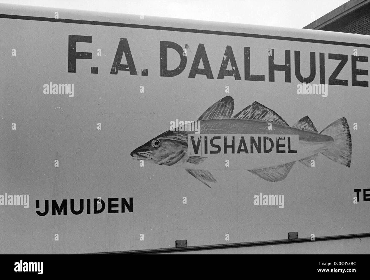Vibrant fish mural prominently features hi-res stock photography and ...