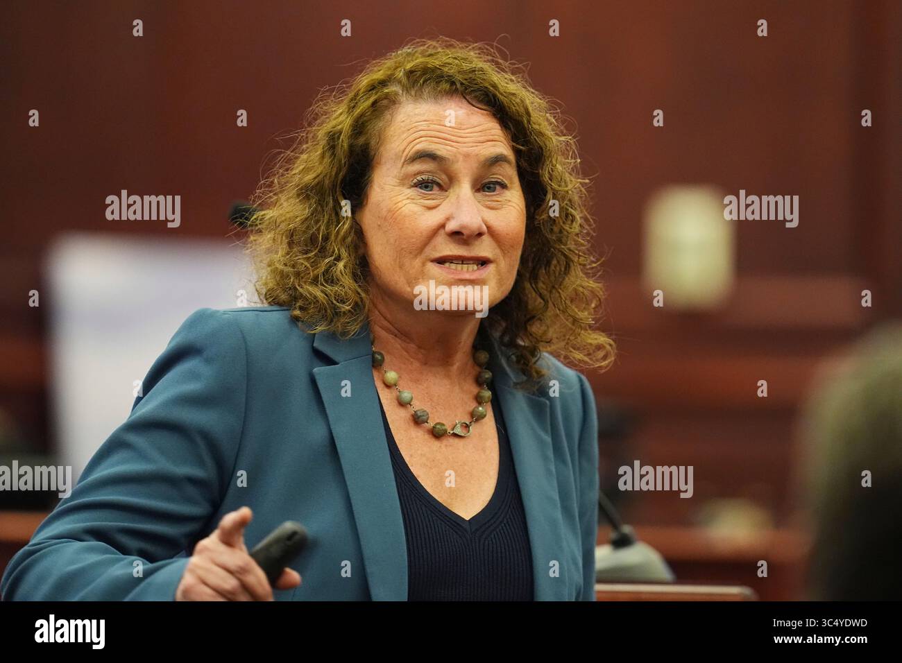 Defense attorney Lisa Moses makes a point during closing arguments in ...
