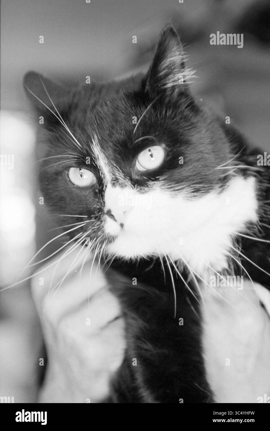 News expression Black and White Stock Photos & Images - Alamy