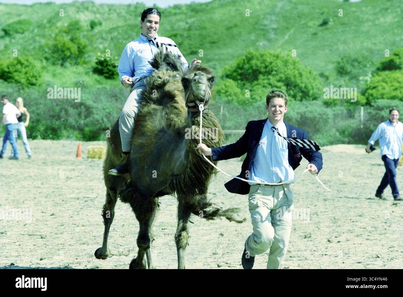 Lively camel race hi-res stock photography and images - Alamy