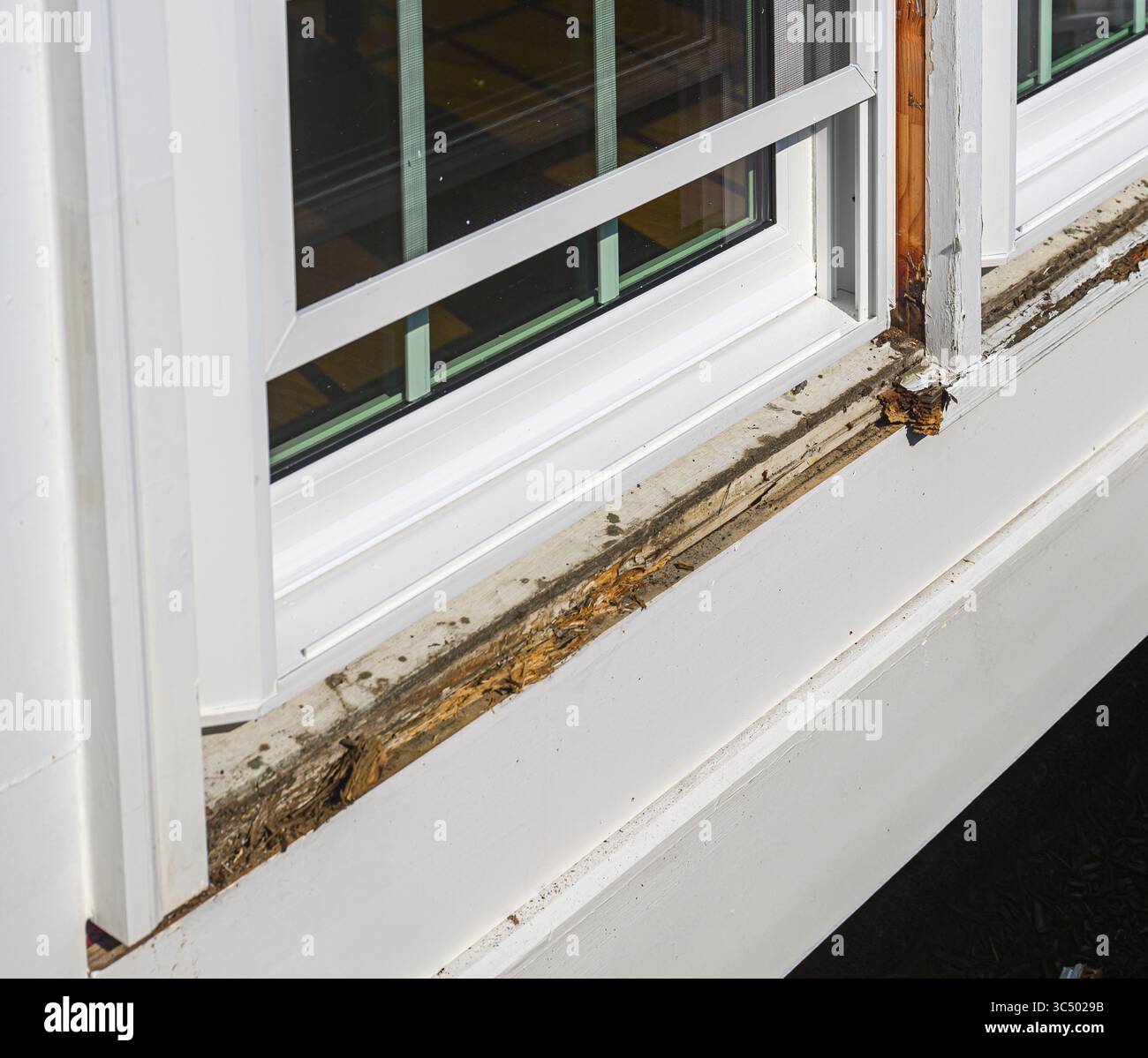 Windows showing rotted condition of sills Stock Photo - Alamy