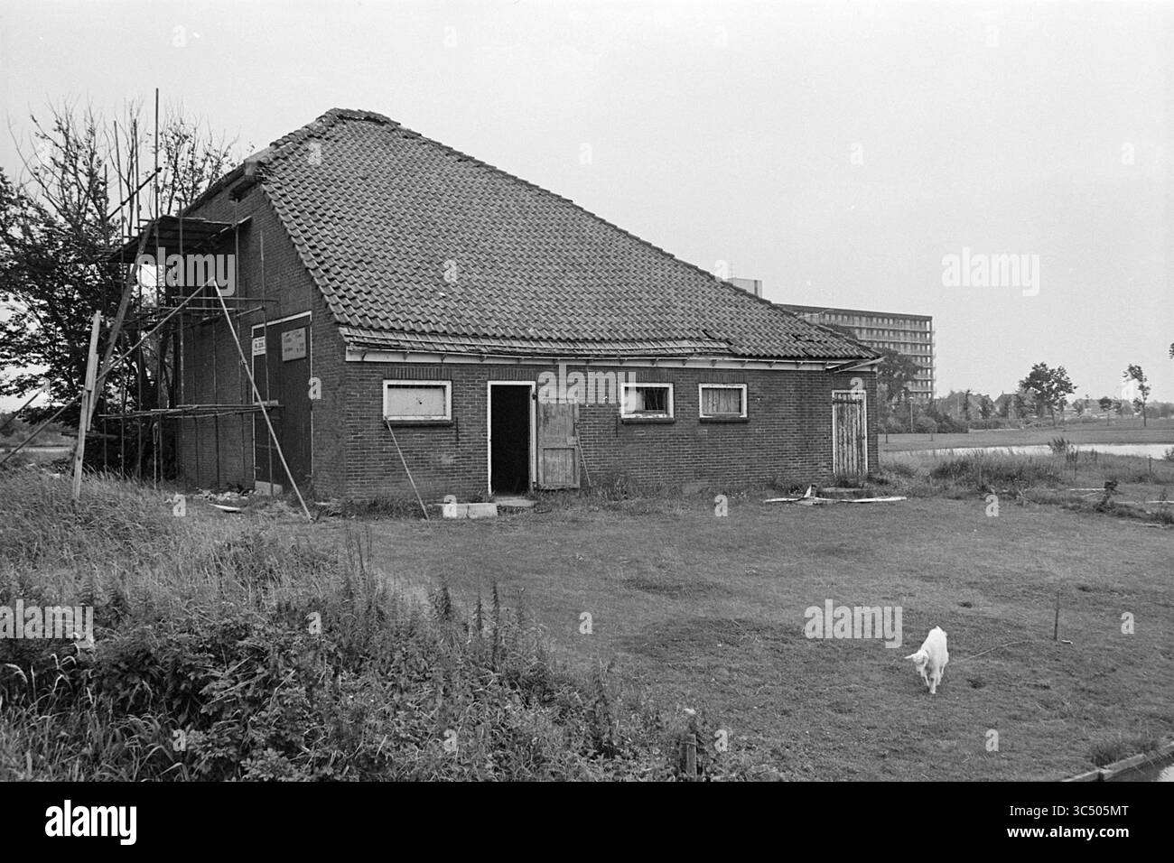 Scaffolding building covered white Black and White Stock Photos ...