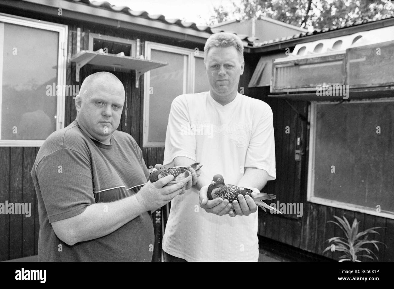 Greenery visible background Black and White Stock Photos & Images - Alamy