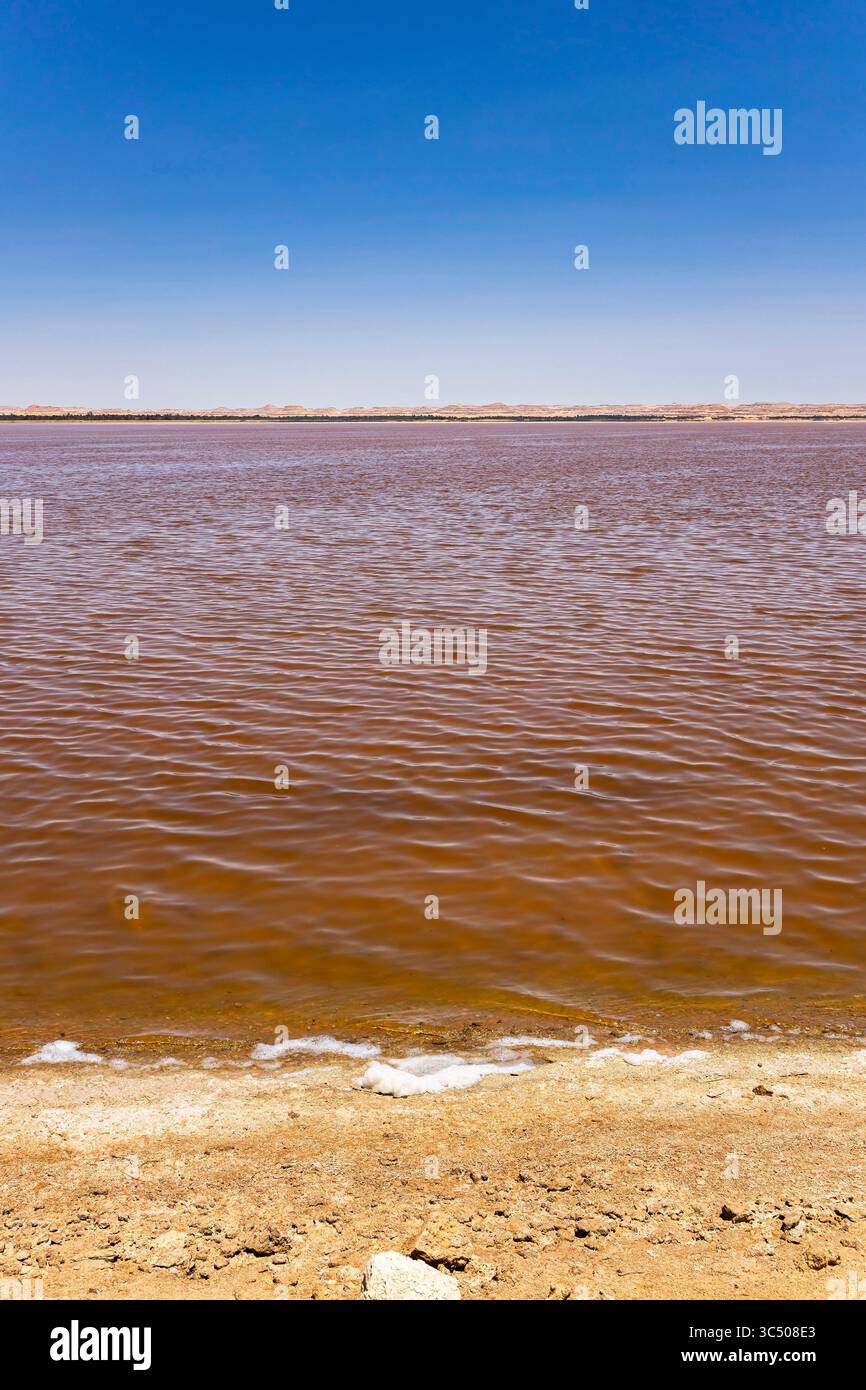 Siwa salt lake, Siwa Oasis, Siwa, Marsa Matrouh governorate, Egypt ...