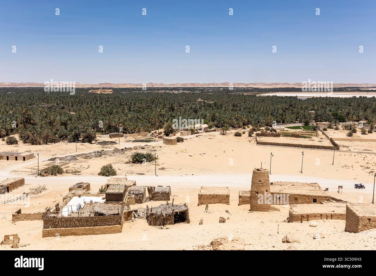 Siwa Oasis, local village and palm tree field, Siwa, Marsa Matrouh ...