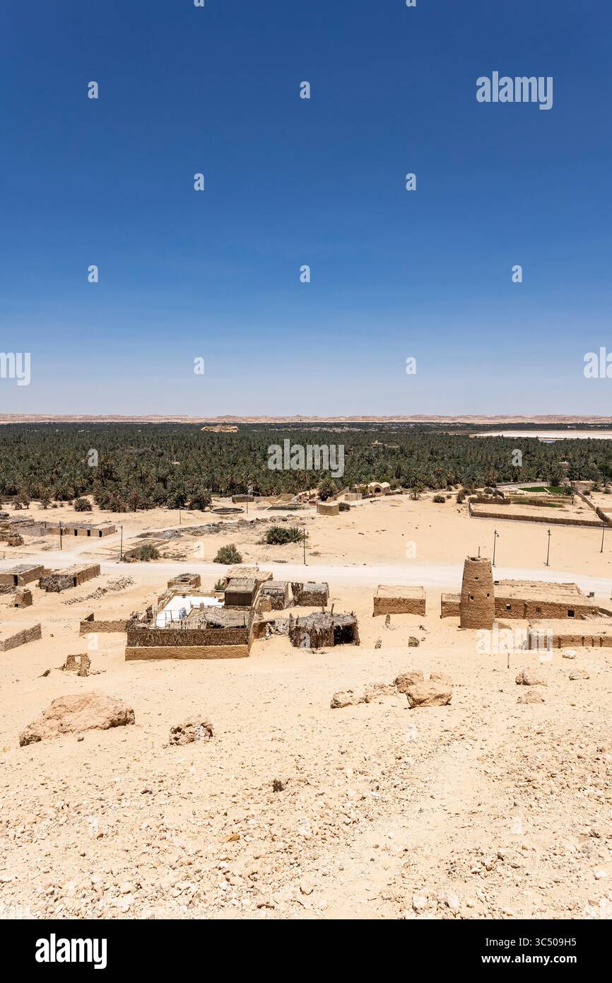 Siwa Oasis, local village and palm tree field, Siwa, Marsa Matrouh ...