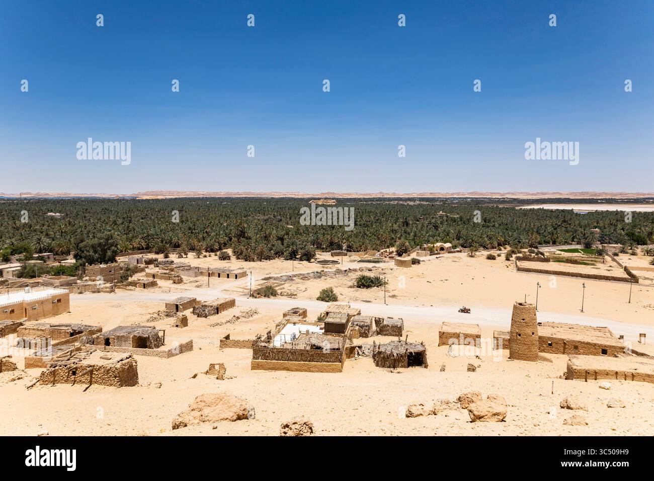 Siwa Oasis, local village and palm tree field, Siwa, Marsa Matrouh ...