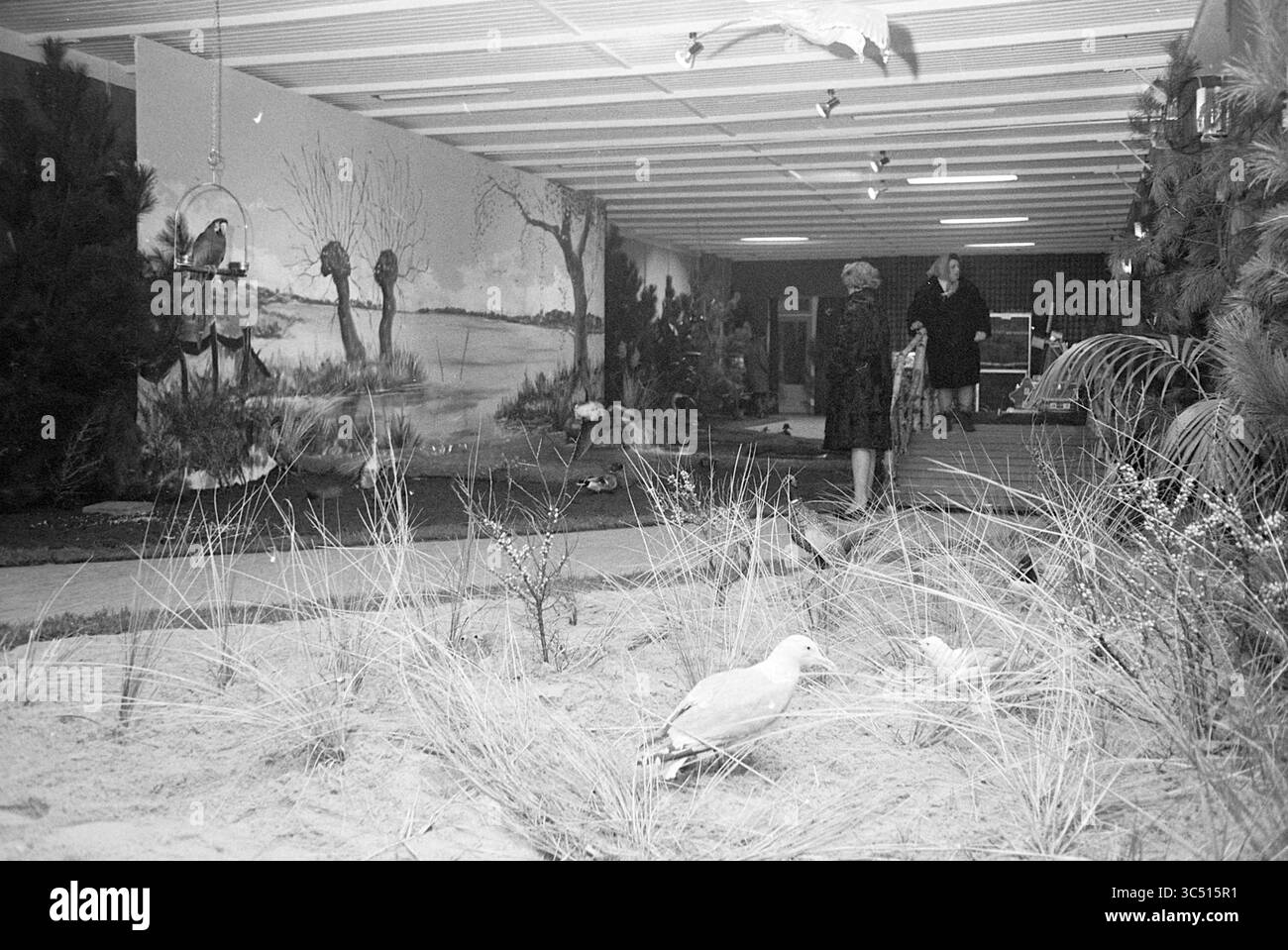 Decorative scene depicting figures Black and White Stock Photos ...