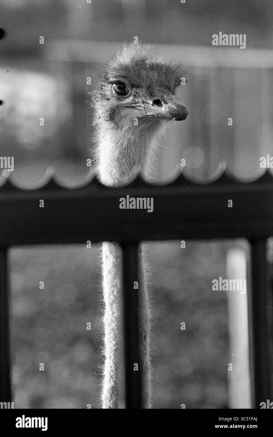 Creatures world beyond hi-res stock photography and images - Alamy