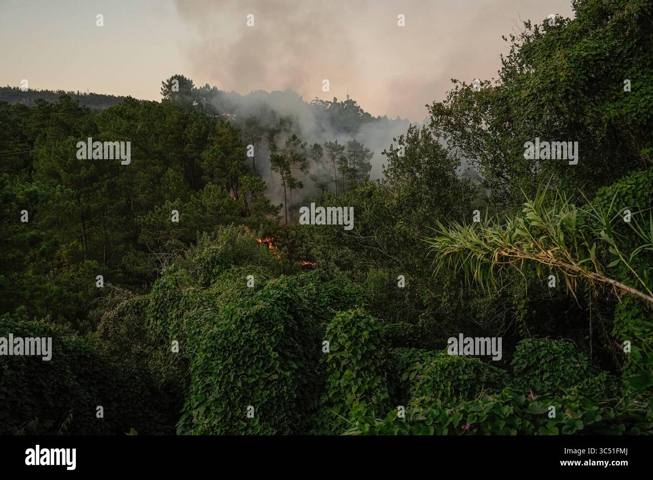 View of the fire, on July 29, 2025, in Arbo, Pontevedra, Galicia (Spain). The Consellería do ...