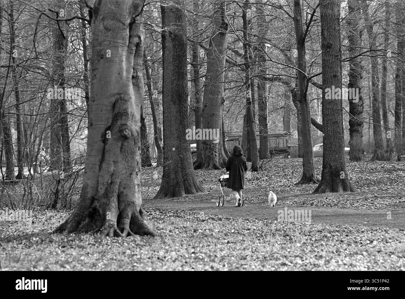 View maranka hi-res stock photography and images - Alamy