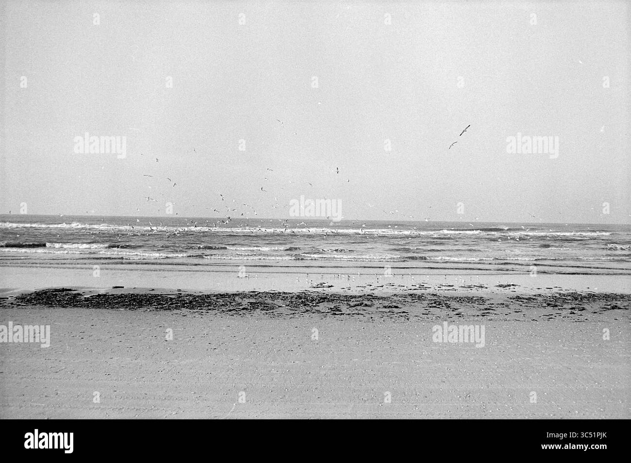 Sandy beach dutch coastal Black and White Stock Photos & Images - Alamy