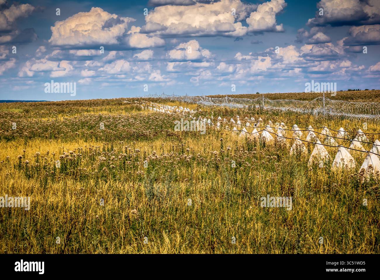 Donbass, Ukraine, July 27, 2025 The Dragon's Teeth are pyramidal ...