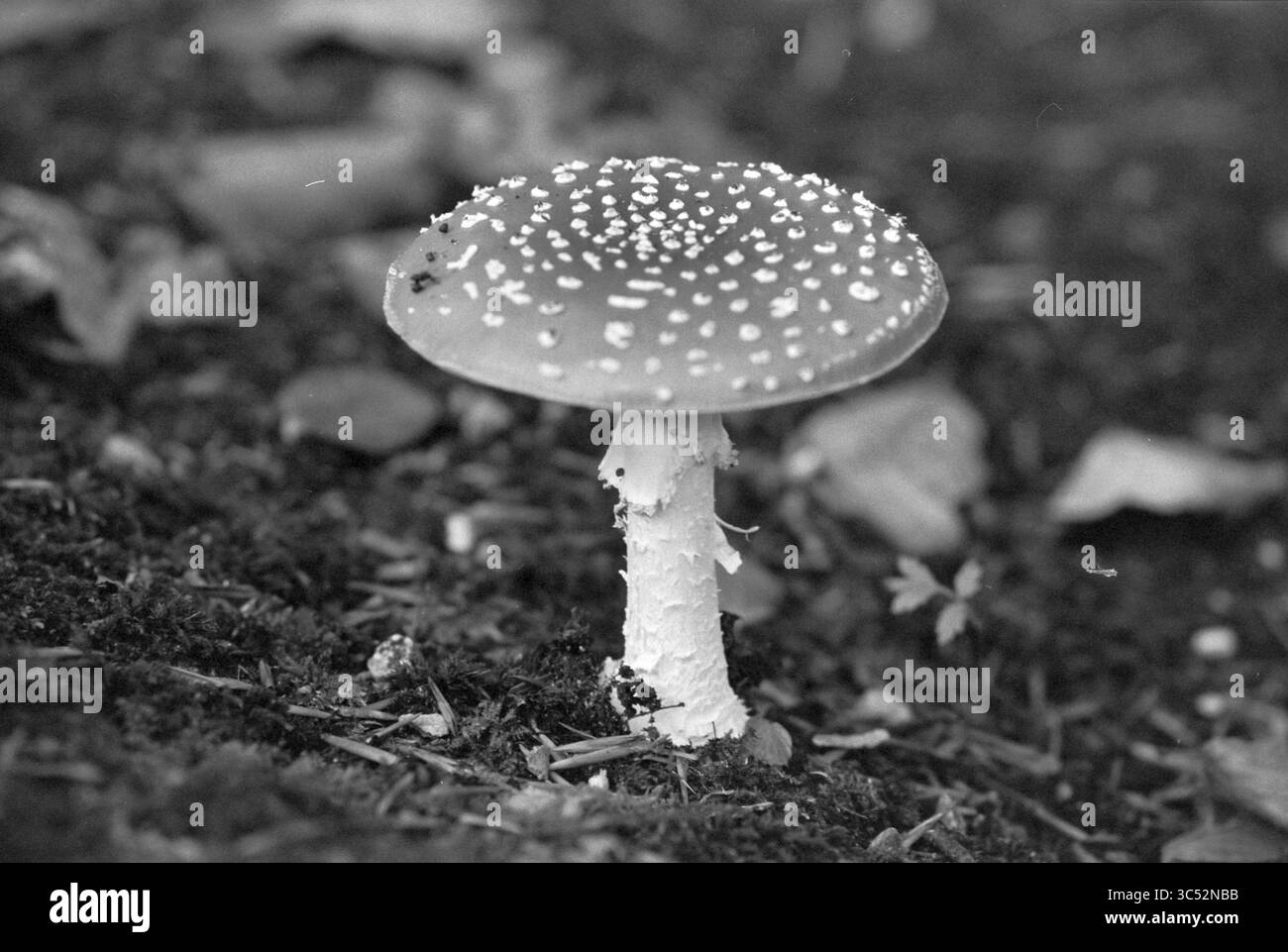 Earth surrounded Black and White Stock Photos & Images - Alamy