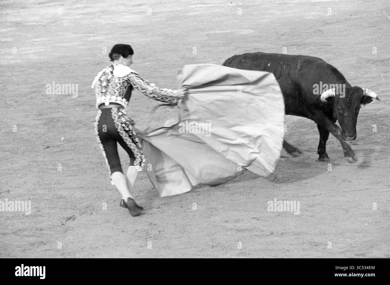 Arenas sandy ground adds hi-res stock photography and images - Alamy