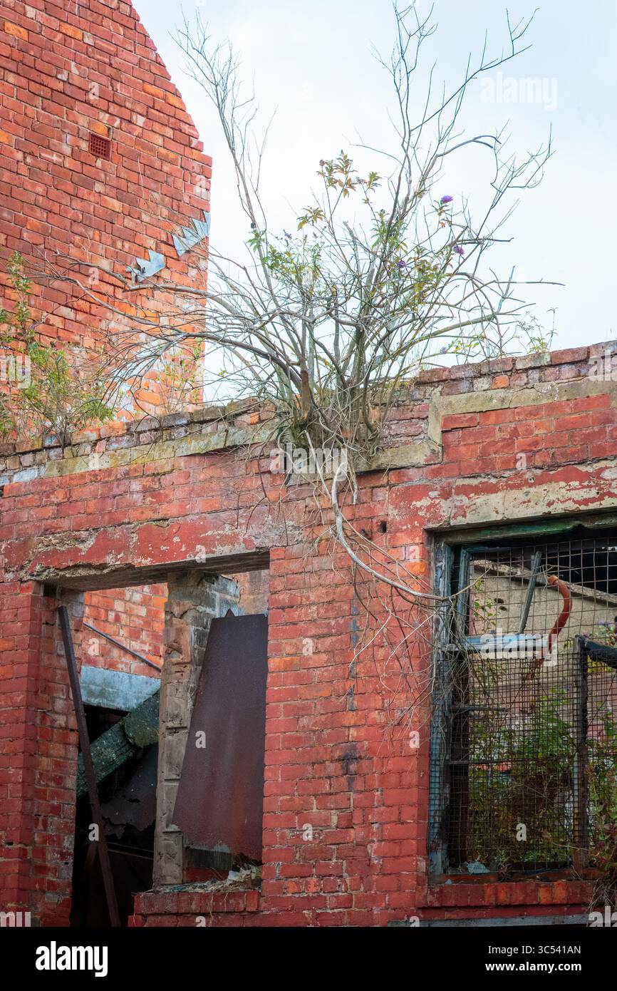 Broken warehouse and factory building in North Shields, July 2025 Stock ...