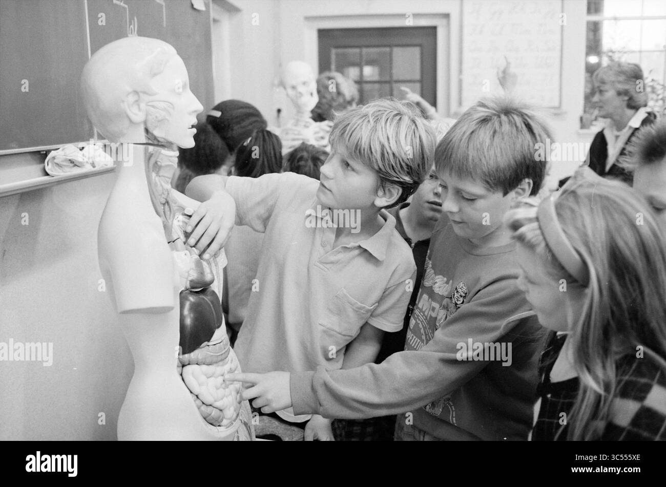 Biology lesson in classroom Black and White Stock Photos & Images - Alamy