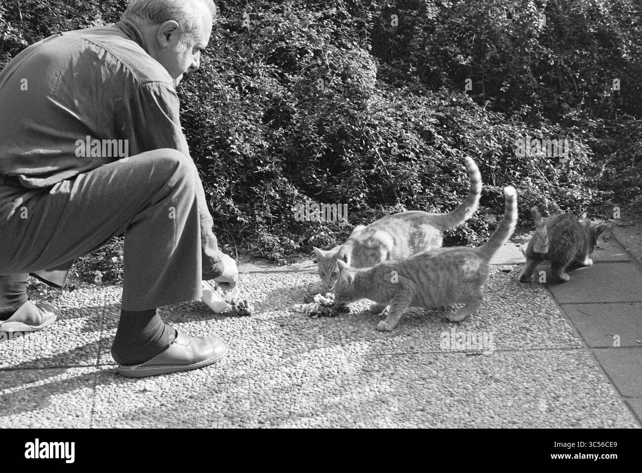 10 09 2000 Black and White Stock Photos & Images - Alamy