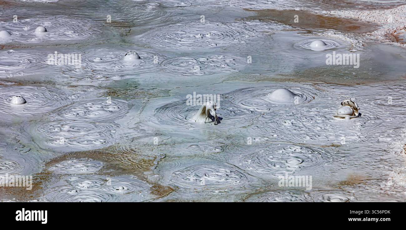Fountain Paint Pot, Lower Geyser Basin, Yellowstone NP Stock Photo - Alamy