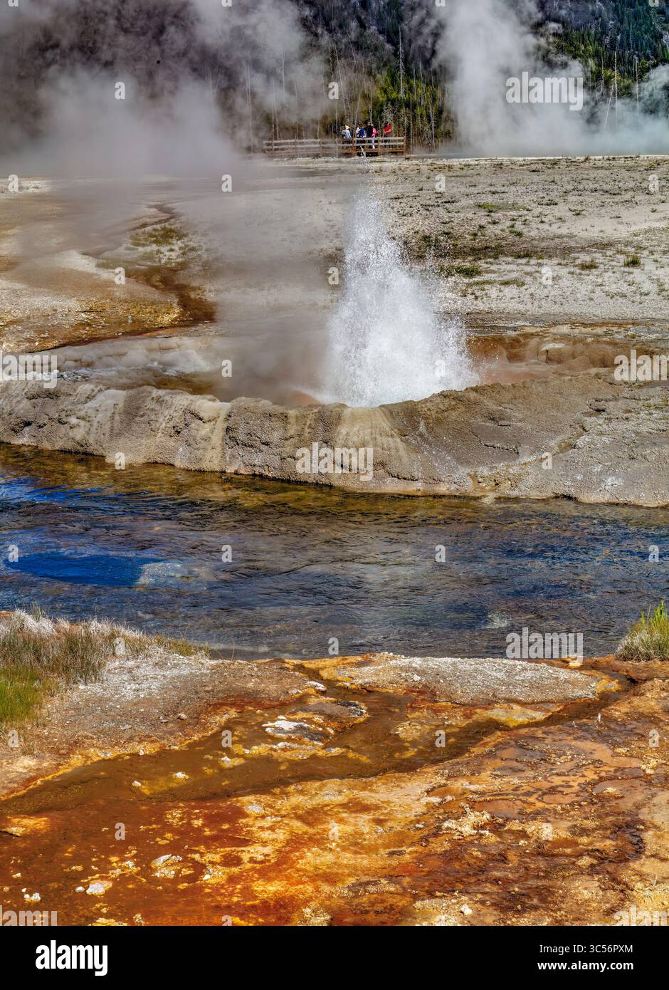 Geothermal Springs, Black Sand Basin, Yellowstone National Park Stock ...