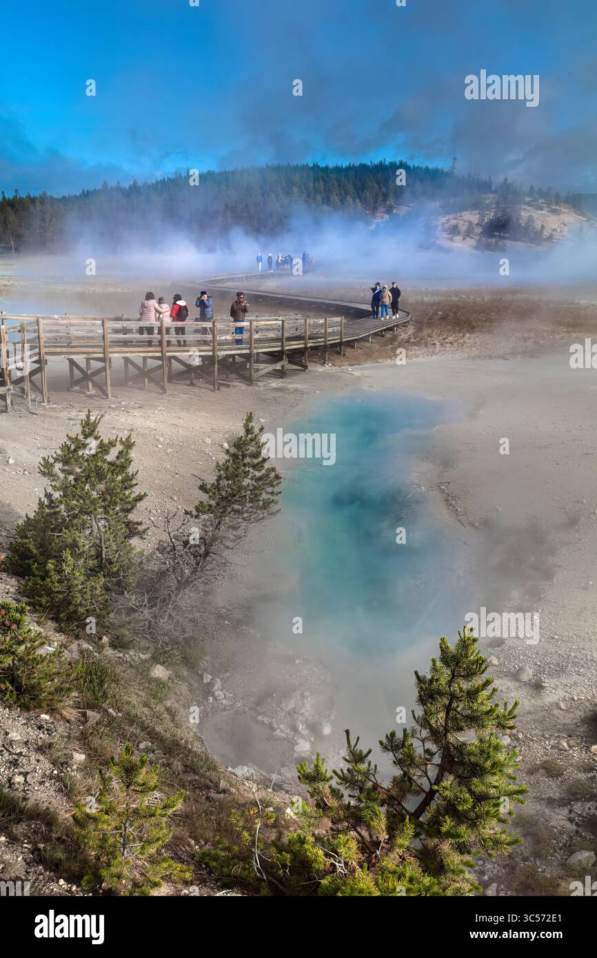 Geothermal Activity, Porcelain Basin, part of the Norris Geyser Basin ...