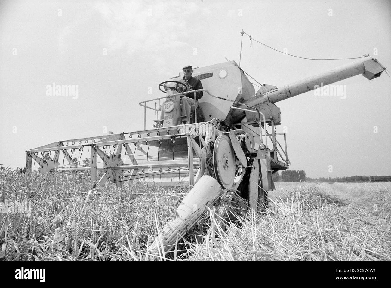 Farmer cutting wheat Black and White Stock Photos & Images - Alamy