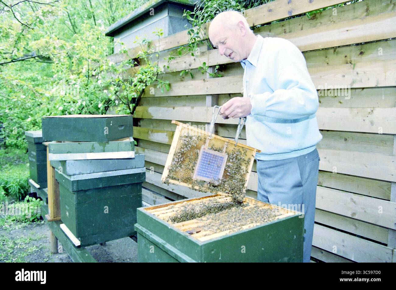 Beekeeper inspects honeycomb filled bees hi-res stock photography and ...