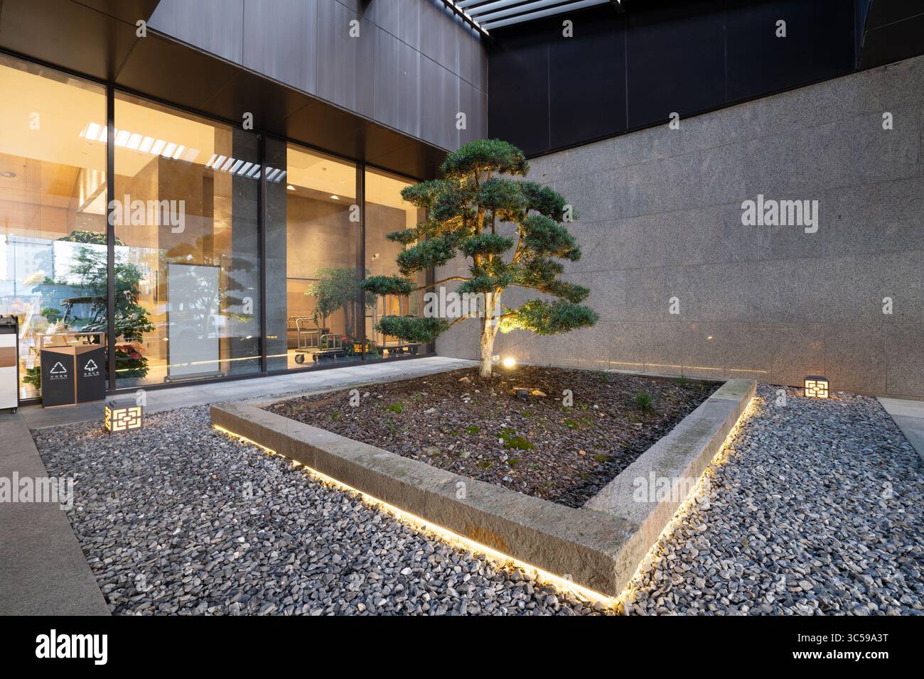 The pine tree in the yard Stock Photo - Alamy
