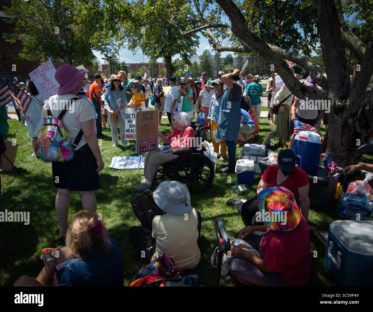Burlington, Massachusetts, USA. 23 July 2025. 14th Weekly ‘Bearing ...