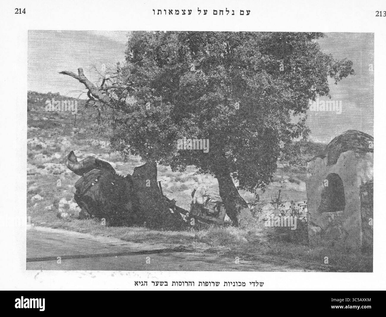 Bab al wad hi-res stock photography and images - Alamy