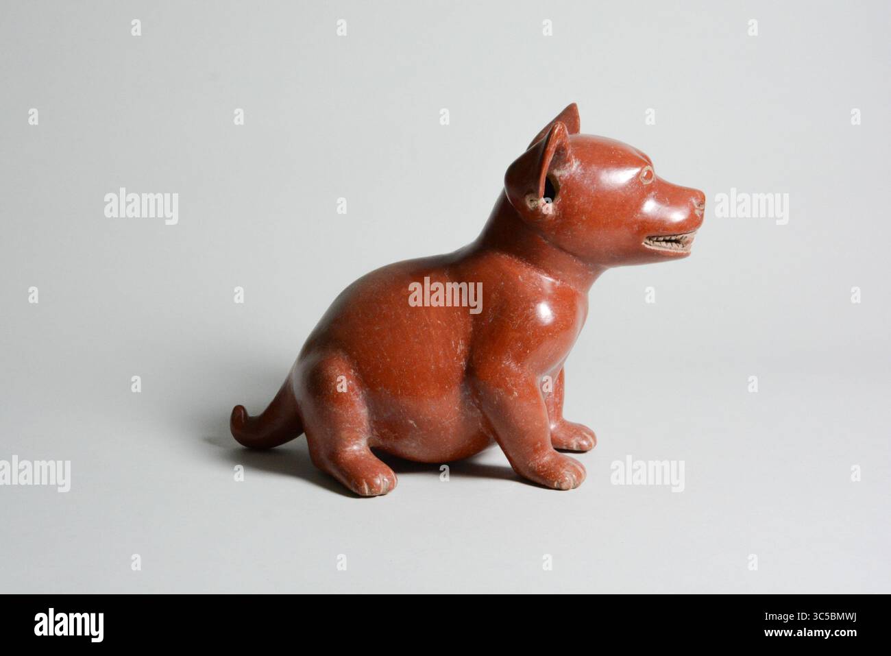 Ancient Pre-Columbian Art: Colima Terracotta Sculpture of a Dog Stock ...