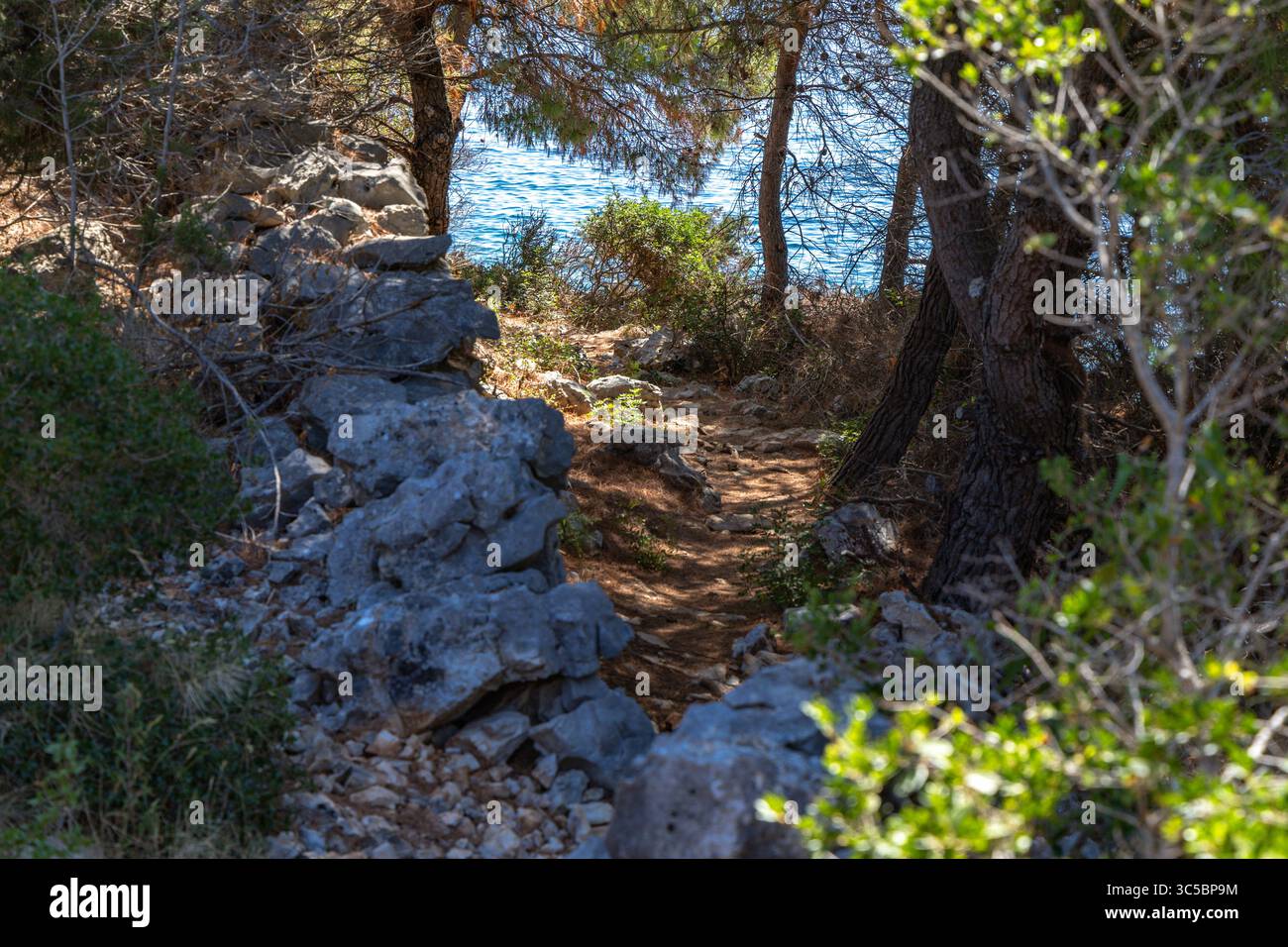 Mediterranean vegetation, road leading to Tatinje beach in Croatia ...