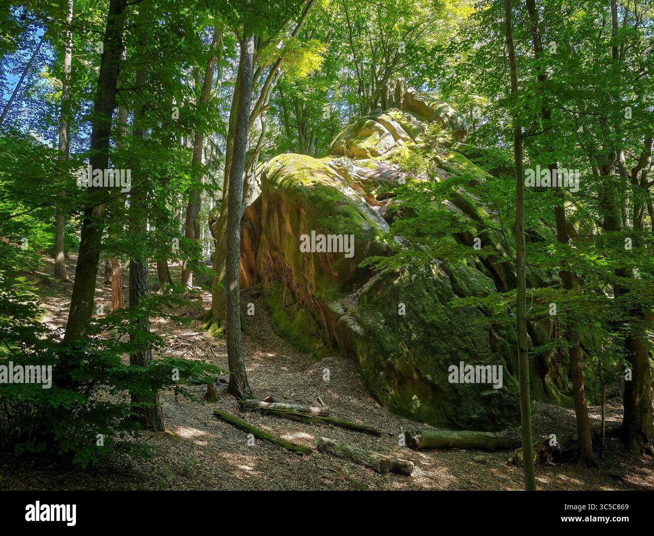 Big sandstone covered green hi-res stock photography and images - Alamy