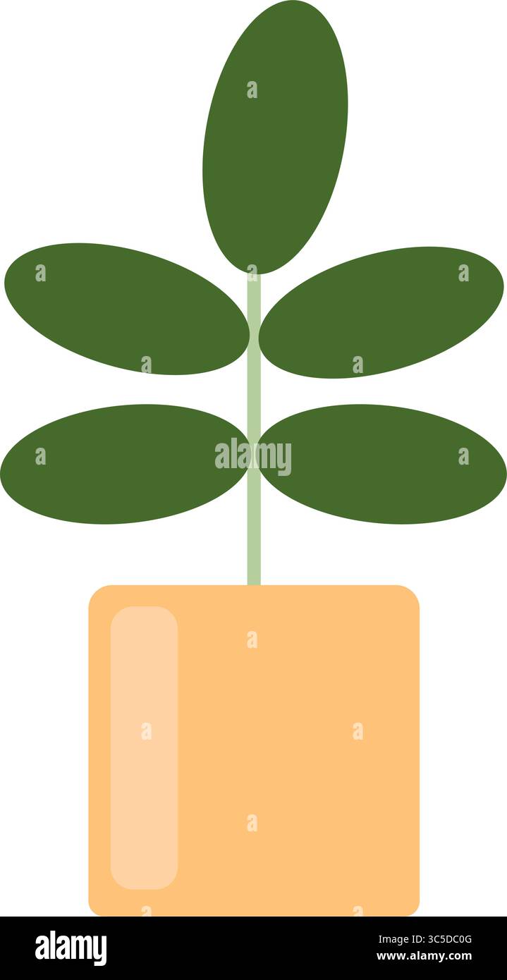 Ficus plant care Stock Vector Images - Alamy