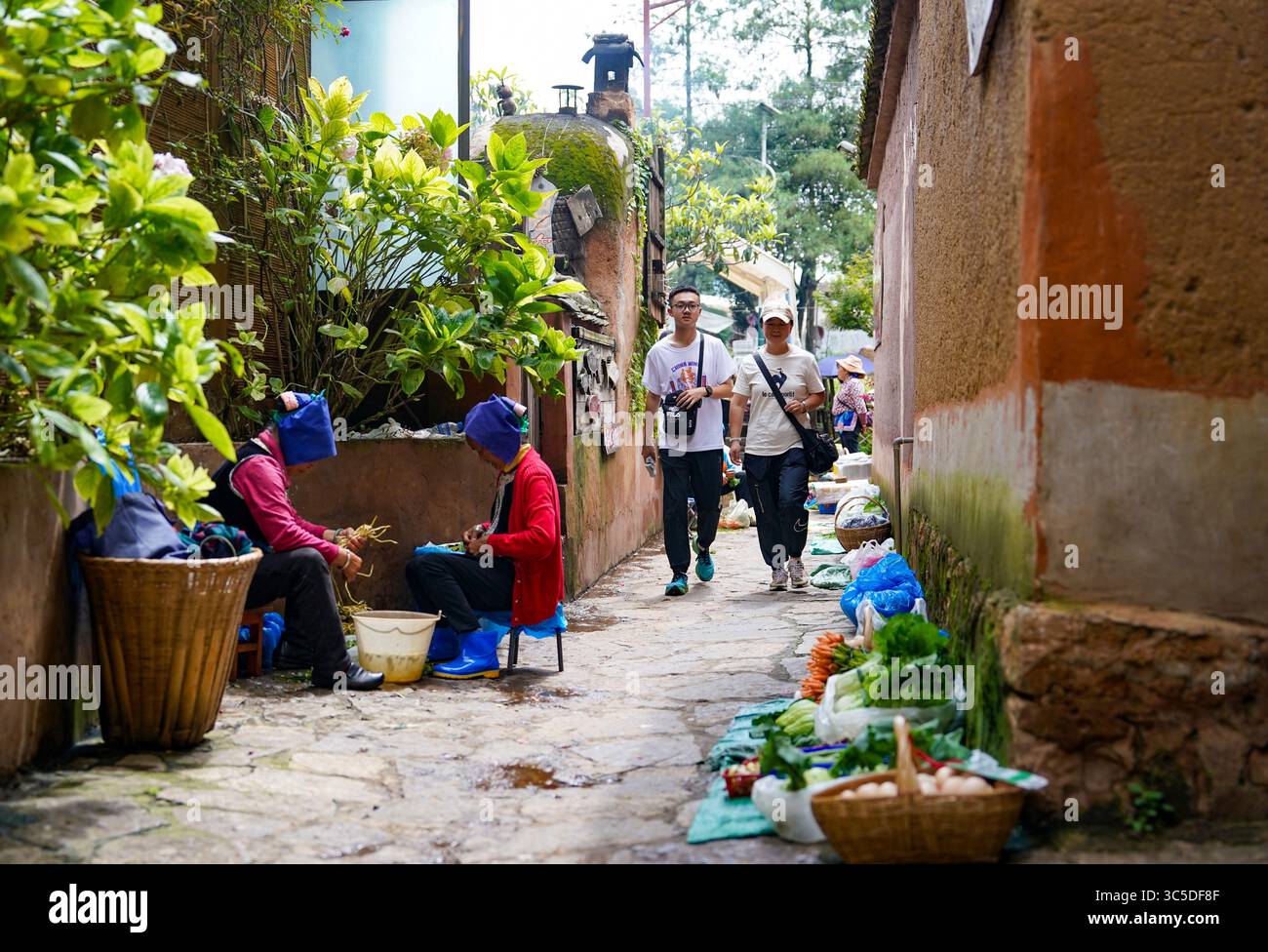 (250730) -- KUNMING, July 30, 2025 (Xinhua) -- Tourists visit a wet ...