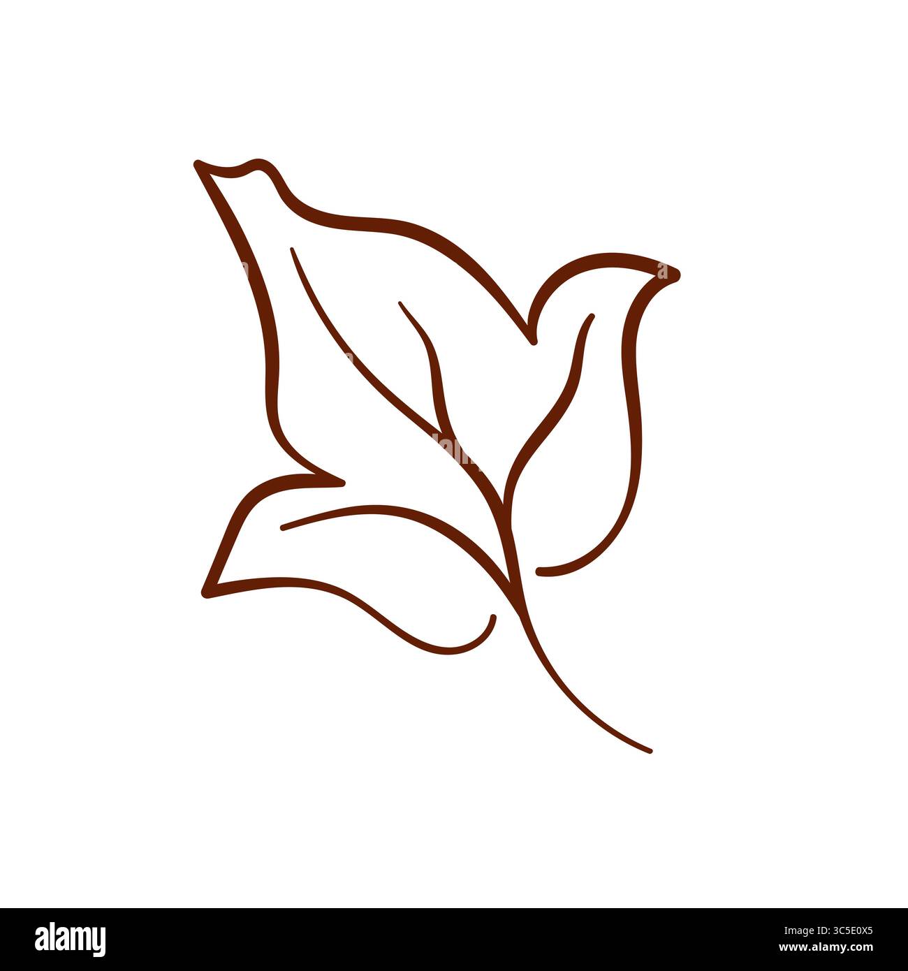 Simple hand drawn cotton plant leaf isolated on white background ...