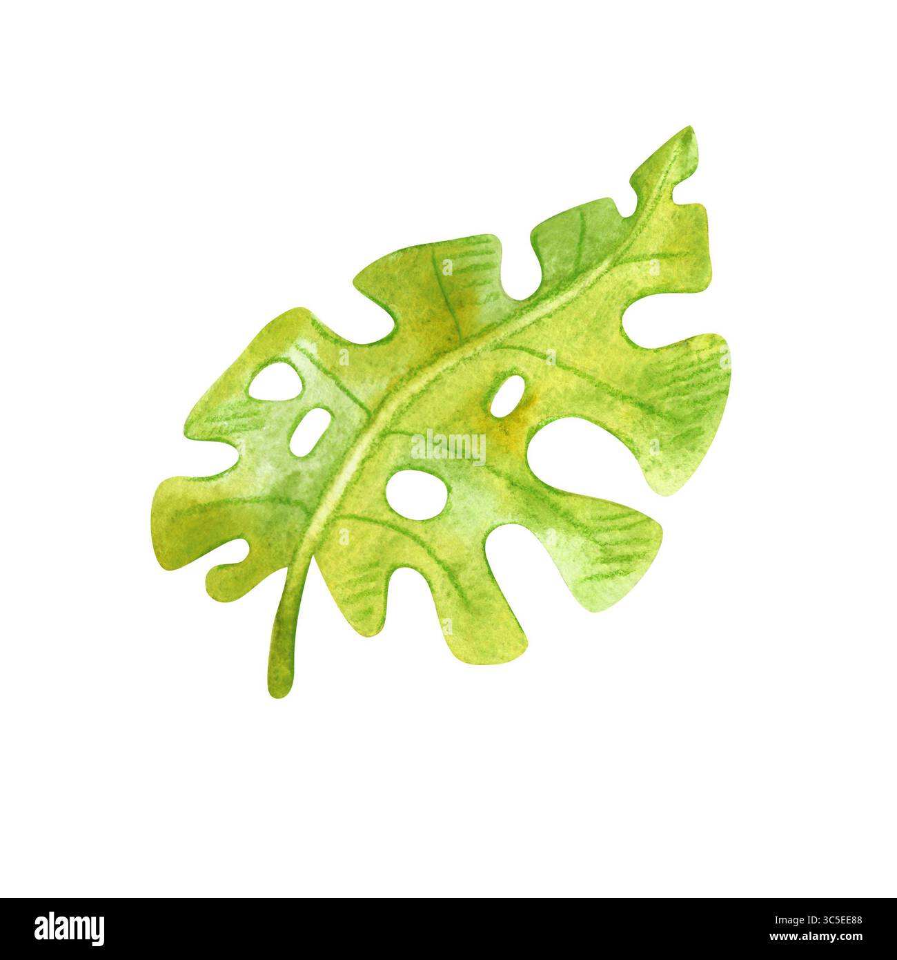 Watercolor forest tree hand Cut Out Stock Images & Pictures - Alamy