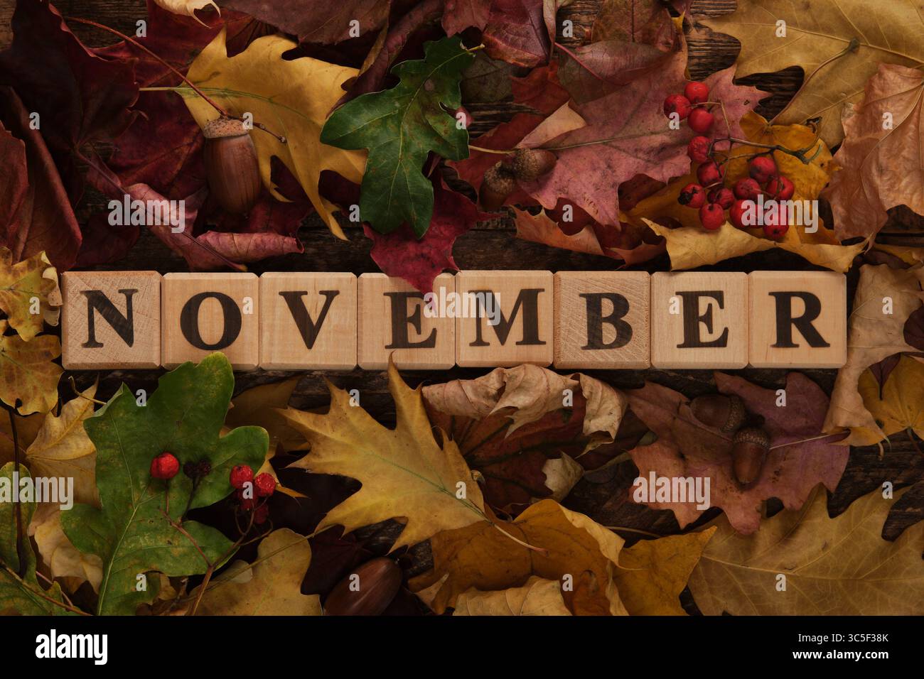 The word November in English written wooden blocks surrounded by autumn ...