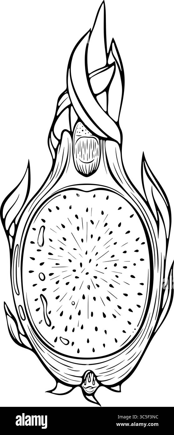 Half dragon fruit Black and White Stock Photos & Images - Alamy